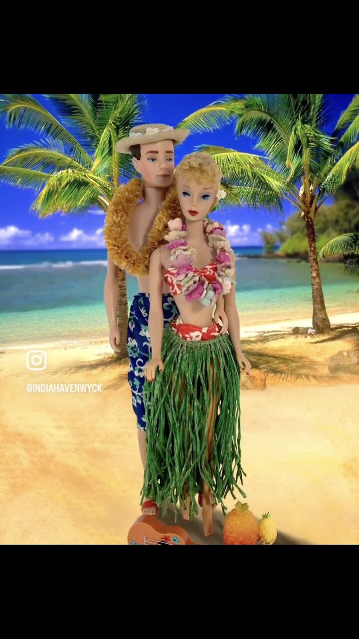 Ken and Barbie In Hawaii for Their Honeymoon