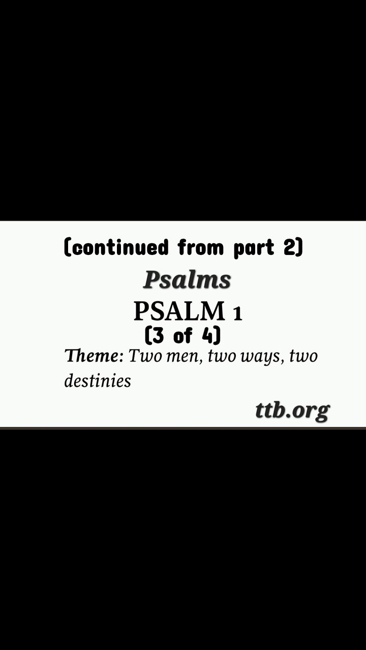 Psalm Chapter 1 (Bible Study) (3 of 4)