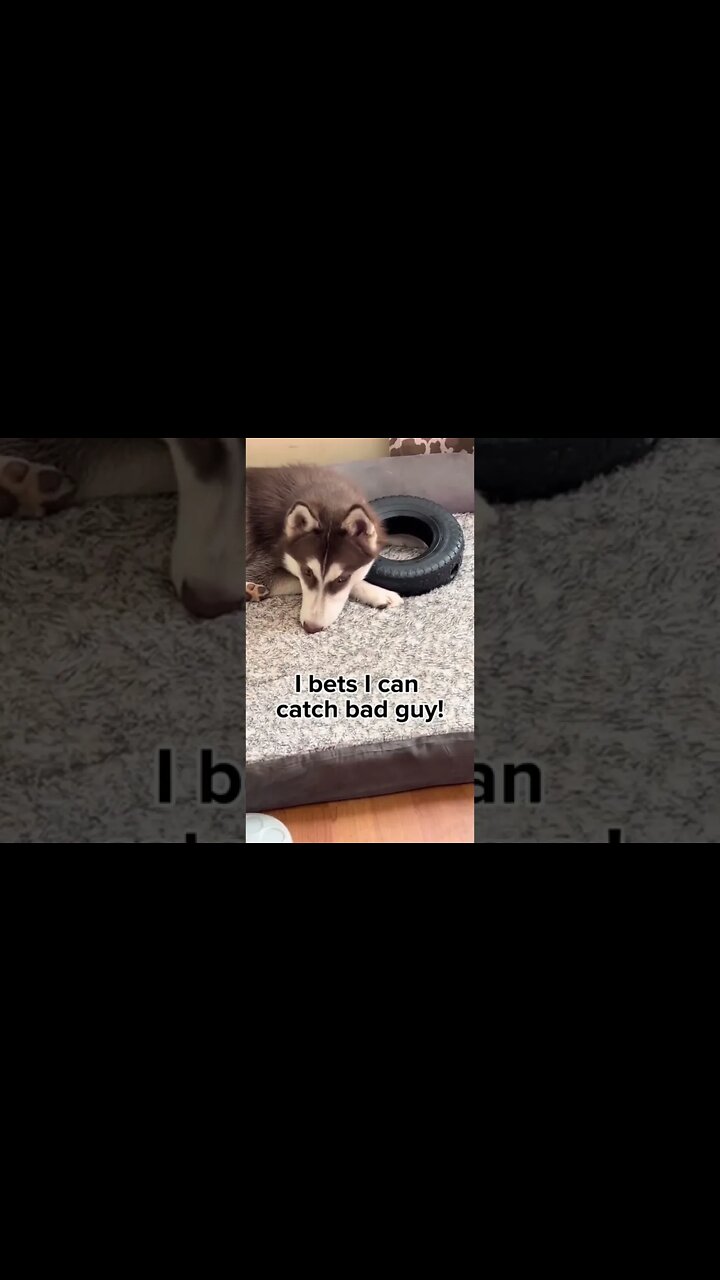 MHA Mr Smiley ATTACKS Roki!! #mha #myheroacademia #midoriya #todoroki # ...