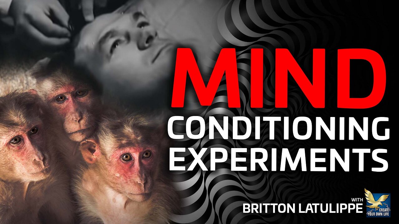 MK Ultra, Monkeys & a Ladder and Other Horrible Mind Conditioning ...