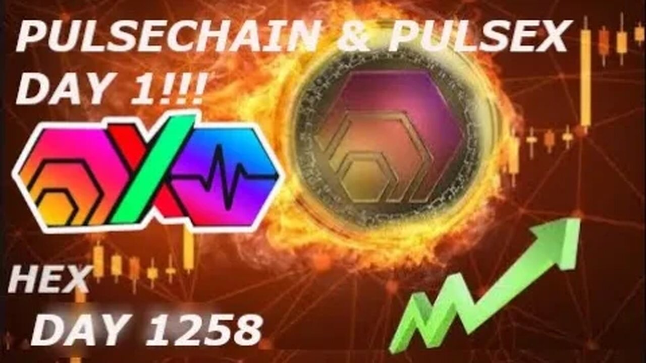 HEX day 1255 & Pulsechain & PulseX day 1