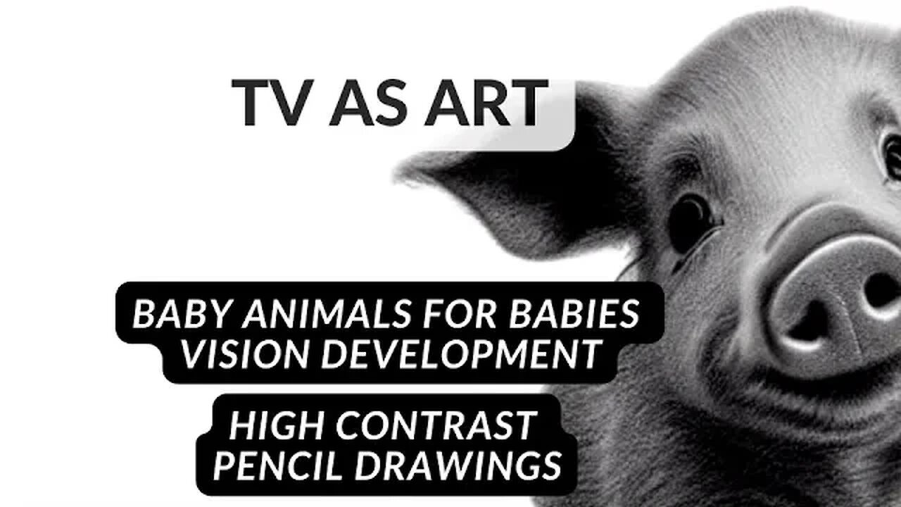 Art for Babies | 10 mins High Contrast Video for Babies | Help Develop ...