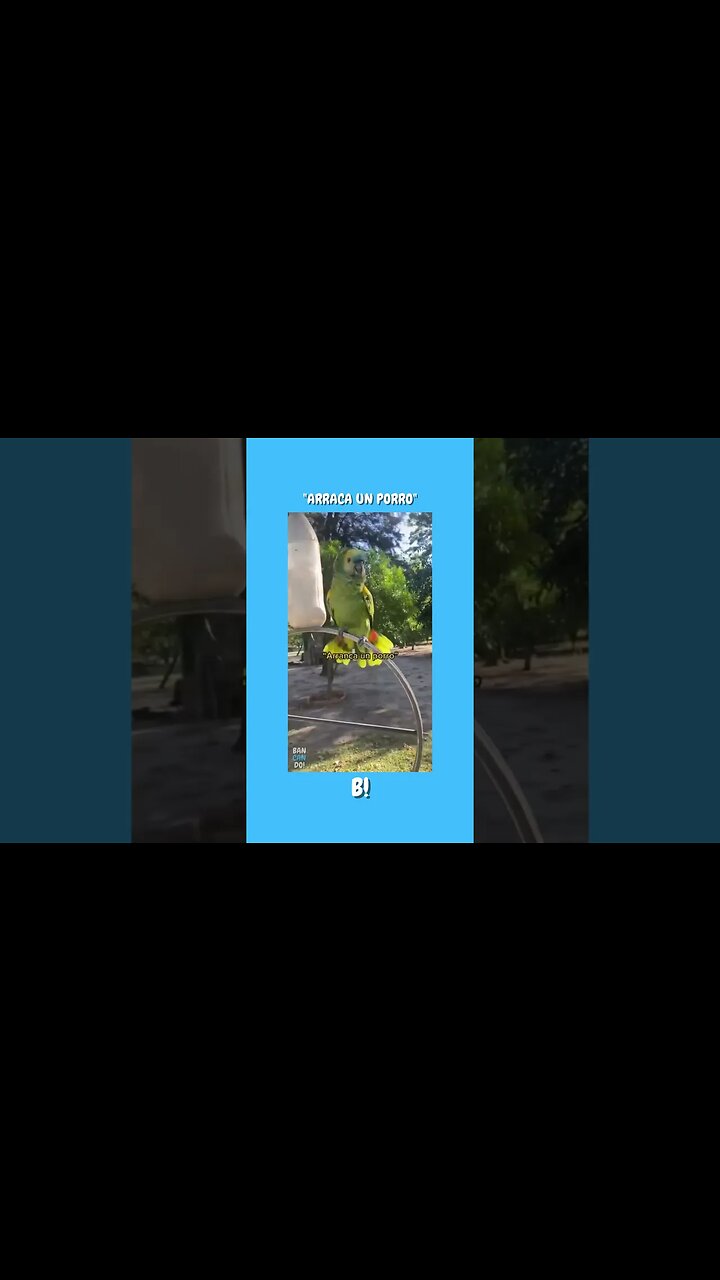 😂🤣😊😅😄 arrancá un porro
