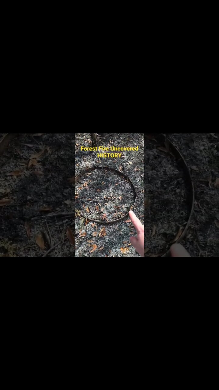 Forest Fire Uncovered hidden history.
