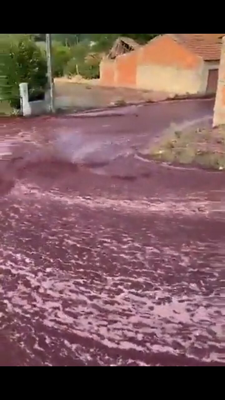 Flood of Red WINE in Portugal