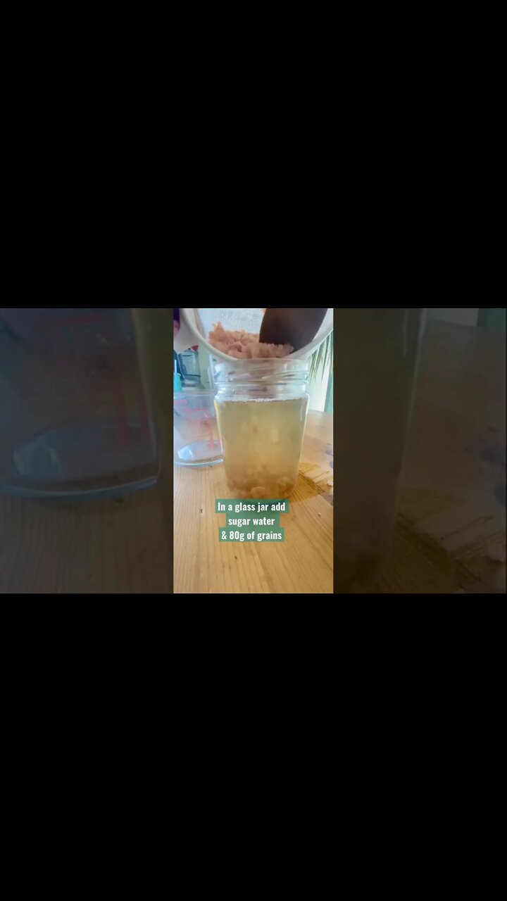 Alive 4 Ever: Feed water kefir grains between fermentation 4 Unlimited ...