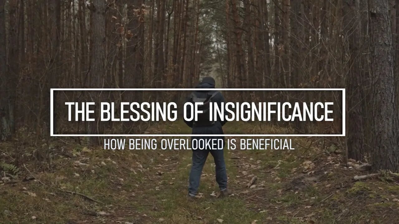 The Blessing of Insignificance - How Being Insignificant is Beneficial ...