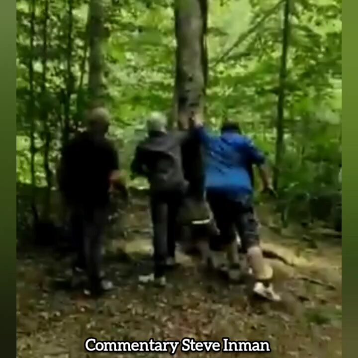 Free Log Rides