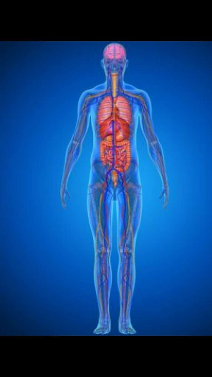 Incredible and Astonishing Facts About the Human Body