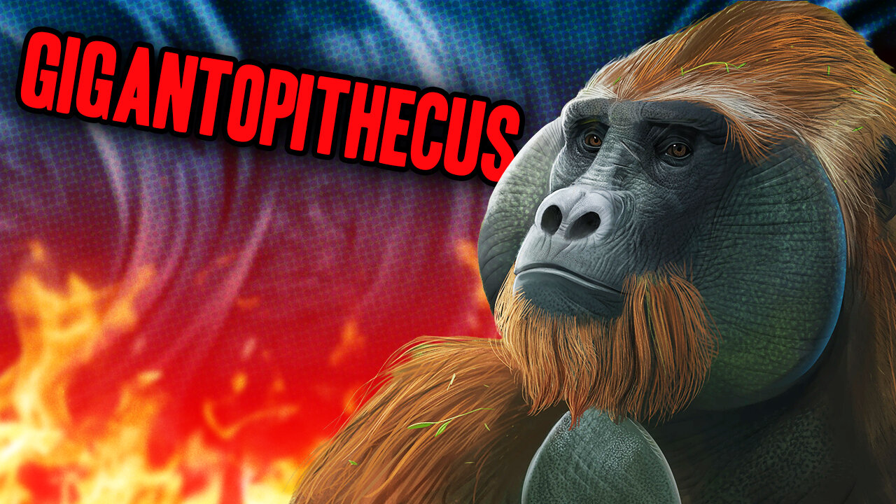 Gigantopithecus The True King Of The Monsters
