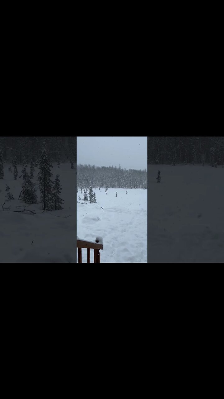April in ALASKA! Snow blizzard!😍 ️ #HomeFreeAlaska #Shorts #OffGrid # ...