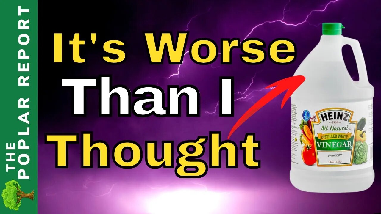 How The Industrial Vinegar SHORTAGE Will Change Everything (Acetic Acid ...