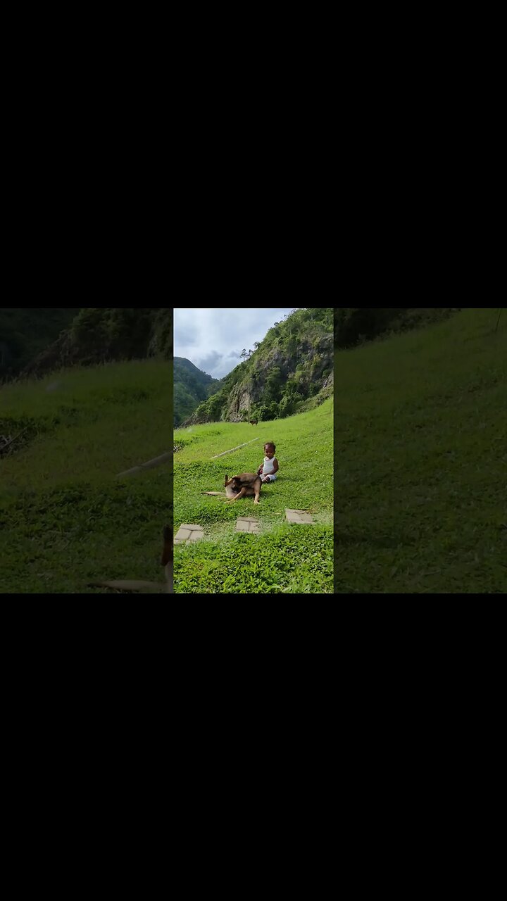 Lumad Kid & Dog #bukidnon #philippines #walkingtour #lumad #bukid # ...