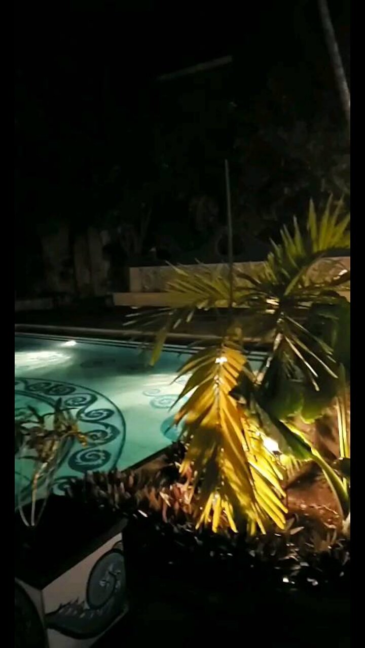 Incredible swimming pool on your next vacation