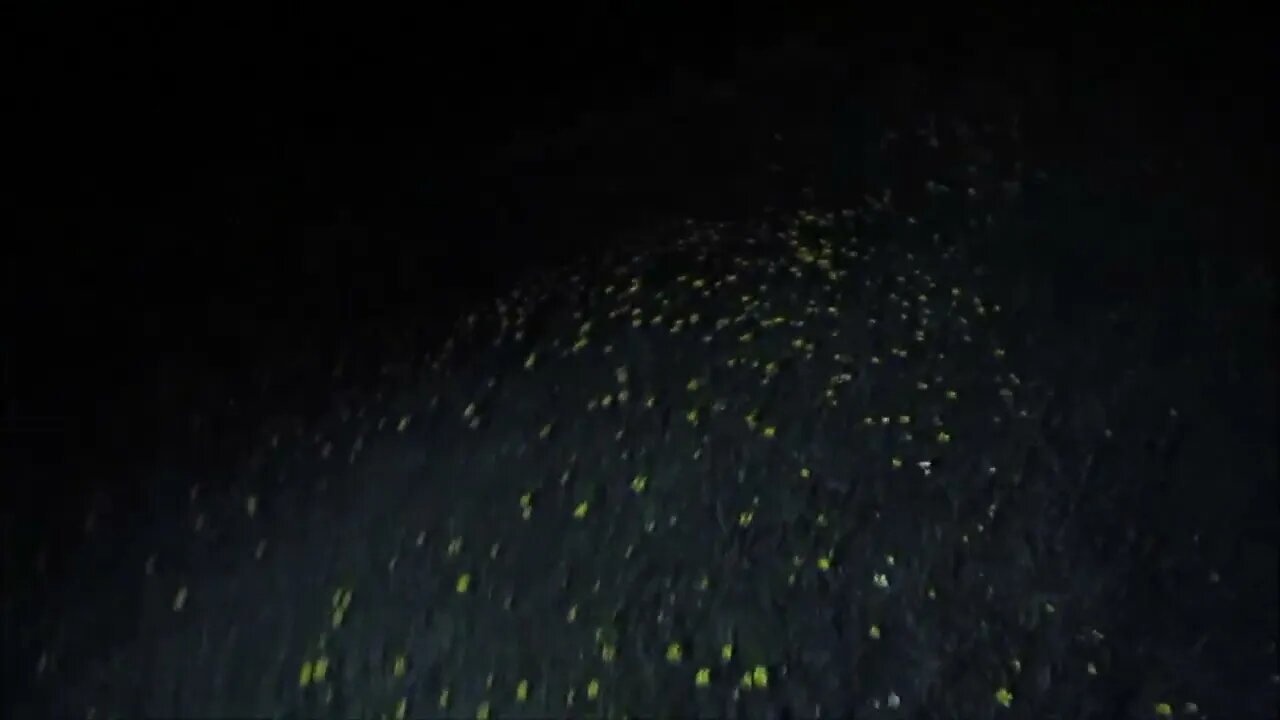 Three Magpie Mines Part Two