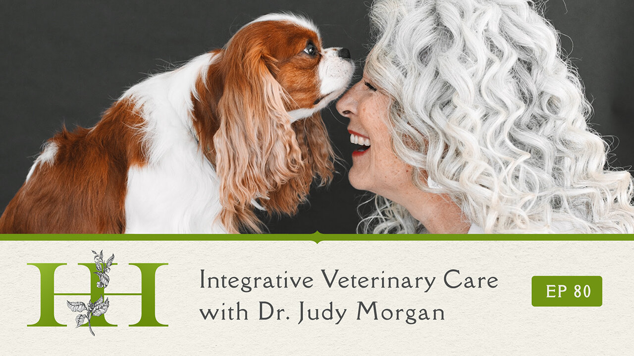 Integrative Veterinary Care with Dr. Judy Morgan - The Healing Home ...