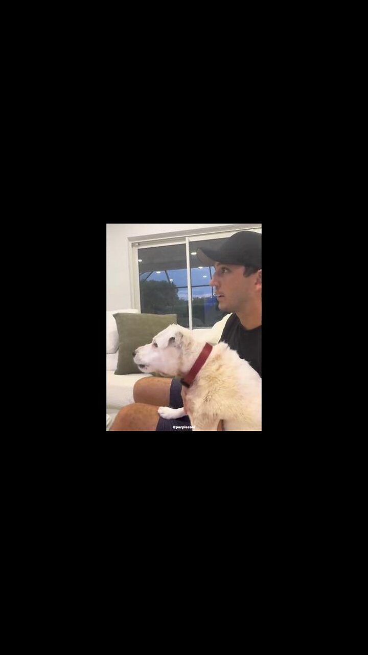 This has to be the most loyal Republican dog I have ever seen