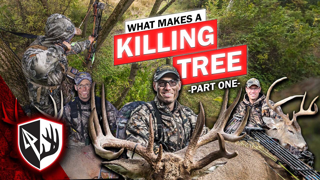 What Makes a Killing Tree - Part 1