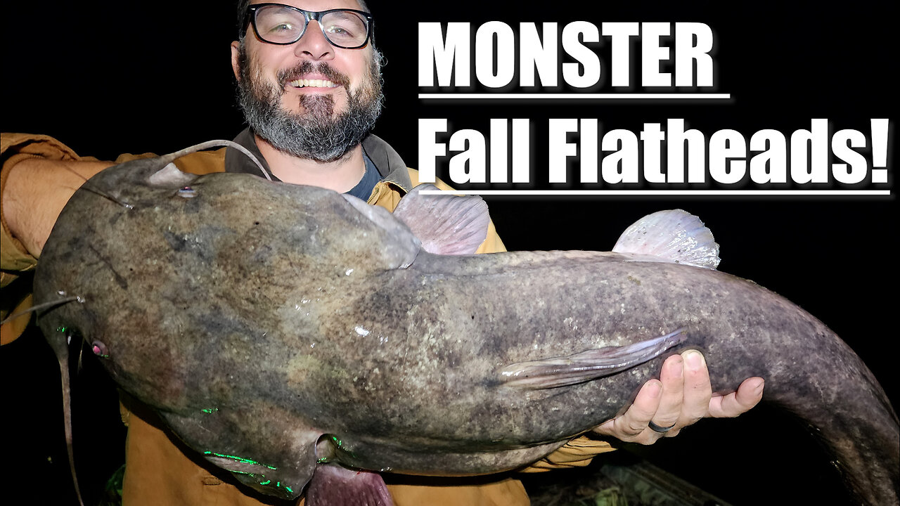 Catching HUGE Flatheads on Diddy Poles || Fall Flathead Fishing On The ...
