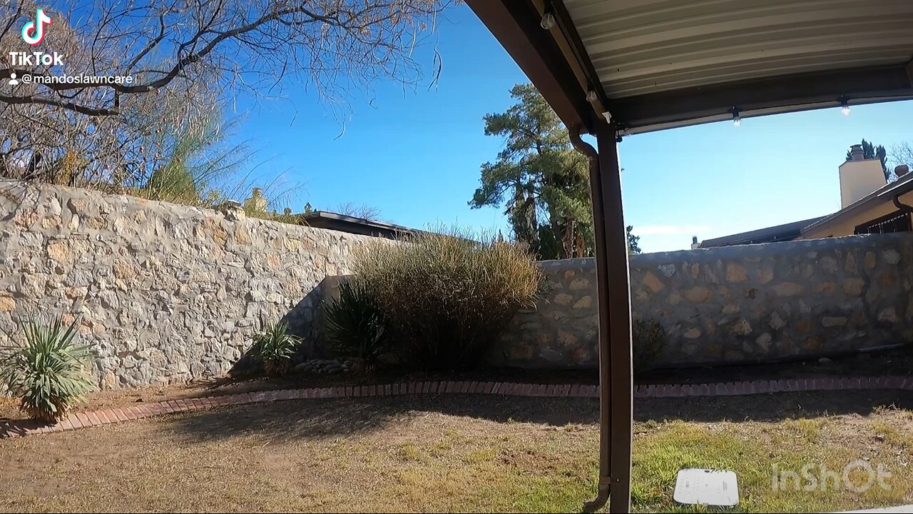 Discovering Brilliance: Mando’s Lawn Care Unveils a Hidden Sprinkler ...