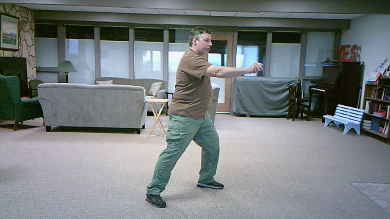 Hunyuan 24 form posture 10 Cover hand Punch