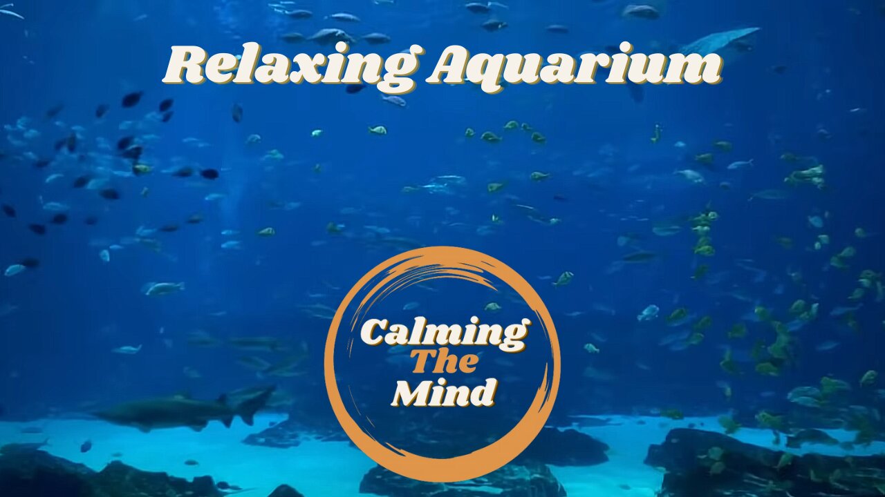 5 Hour Aquarium | No Sound | Screensaver | Sleep Aid