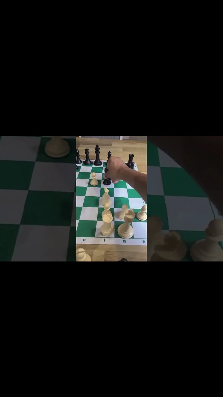 What is the Ruy Lopez Berlin Defense in Chess?