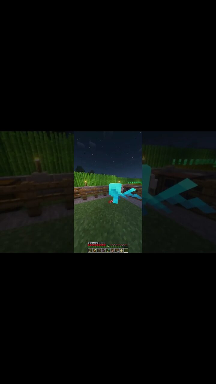 Minecraft 1.19 Server New Shaders & Mods Survival Multiplayer Java SMP ...