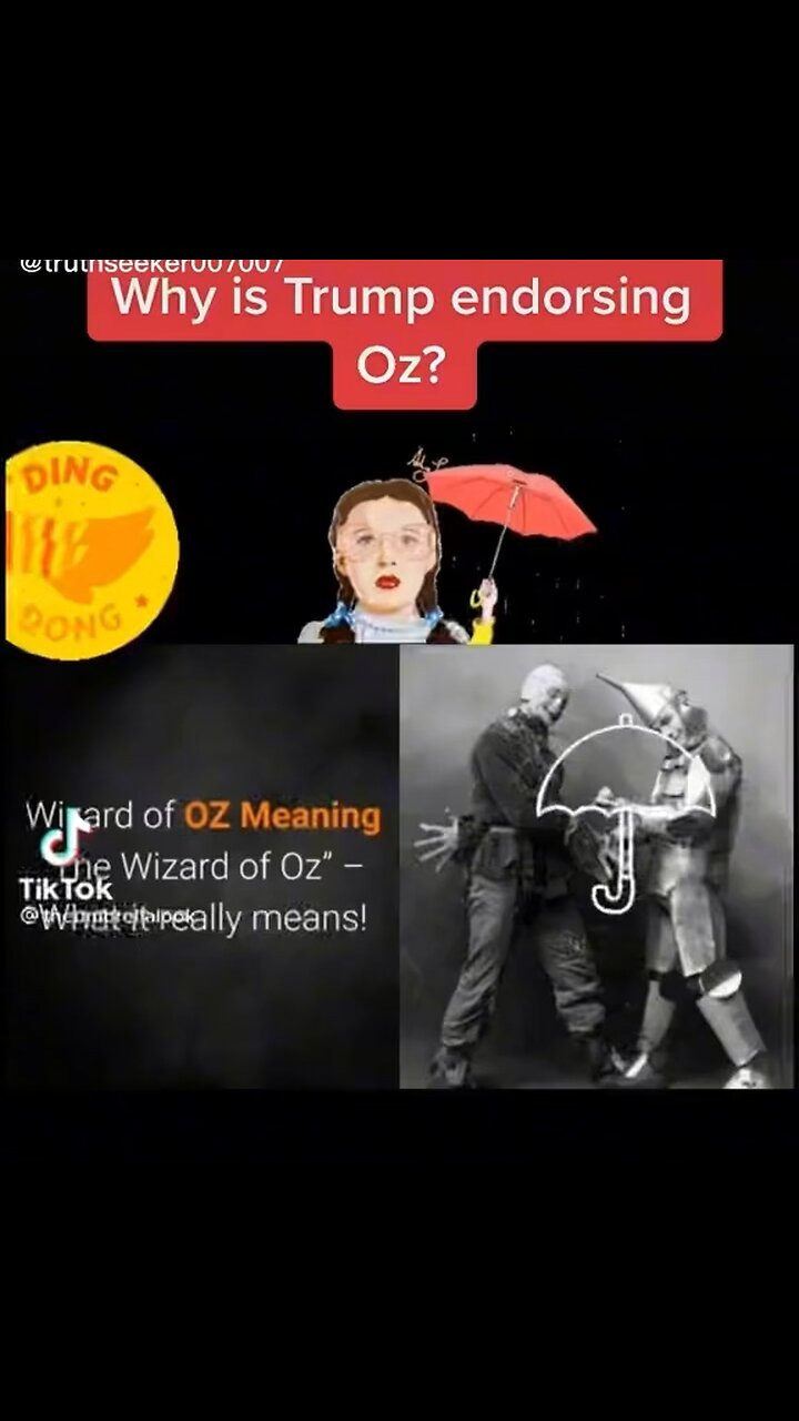 What wizard of oz really means