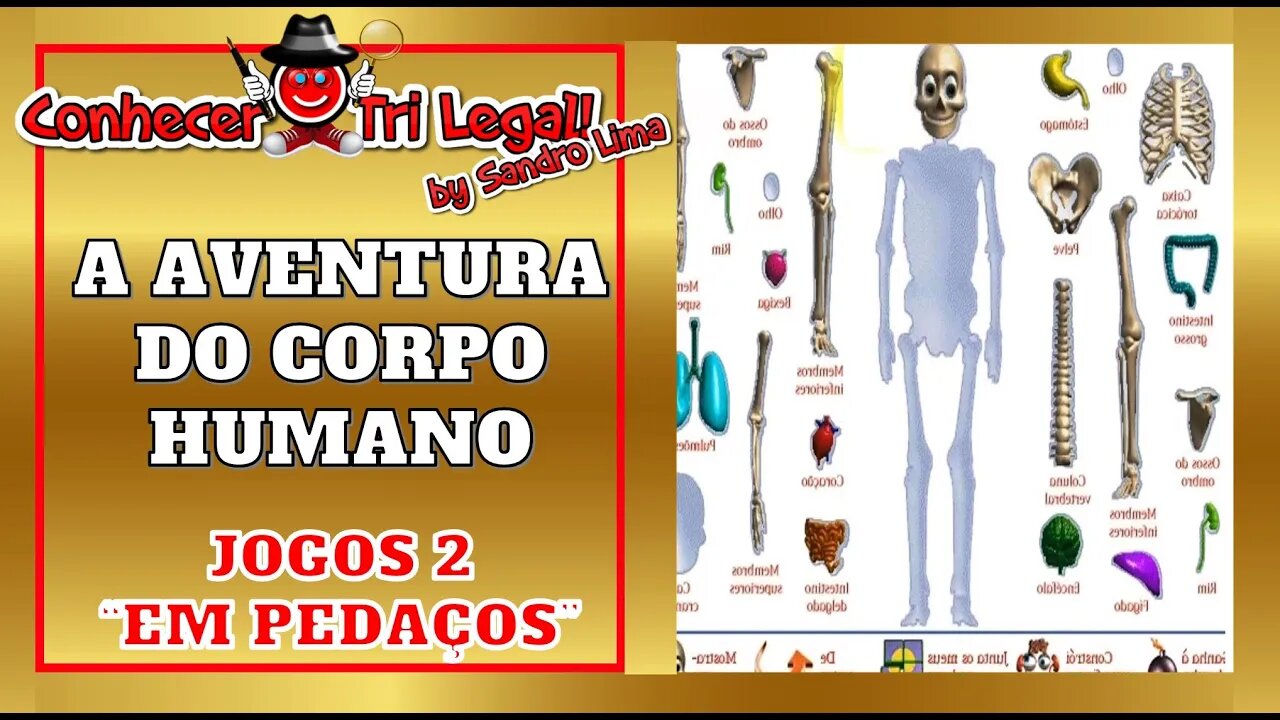 Jogo Educativo | A Aventura do Corpo Humano | JOGO 2: “Em Pedaços” | CD ...