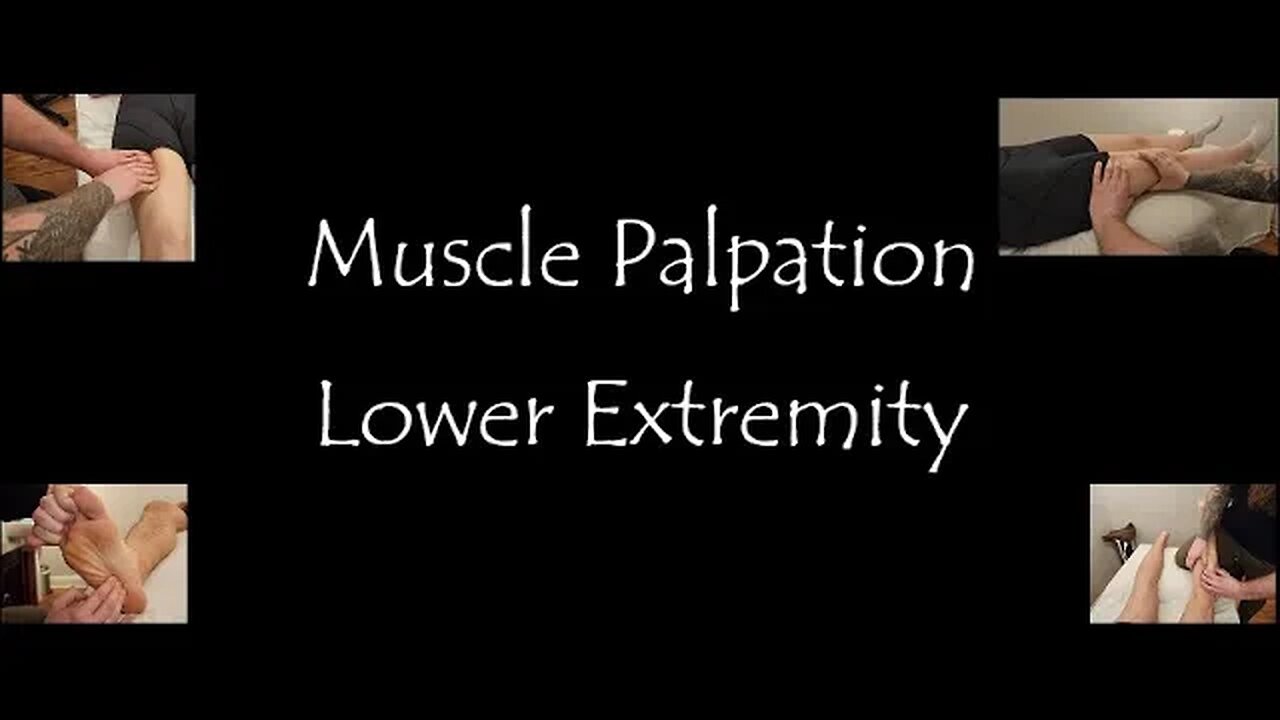 Muscle Palpation - Lower Extremity (Hip, Glute, Thigh, Leg, Ankle, Foot ...