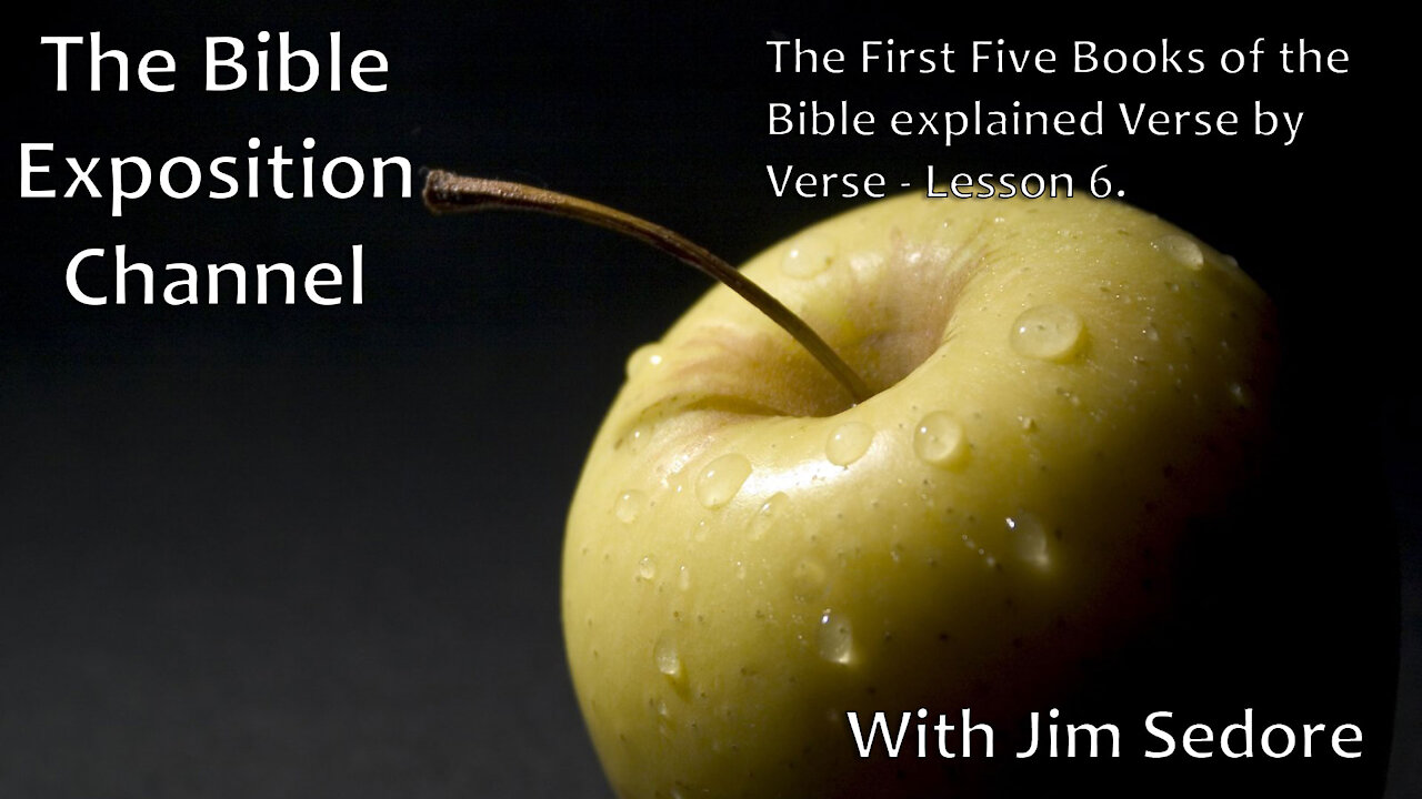The first five books of the Bible explained Verse by Verse - Lesson 6