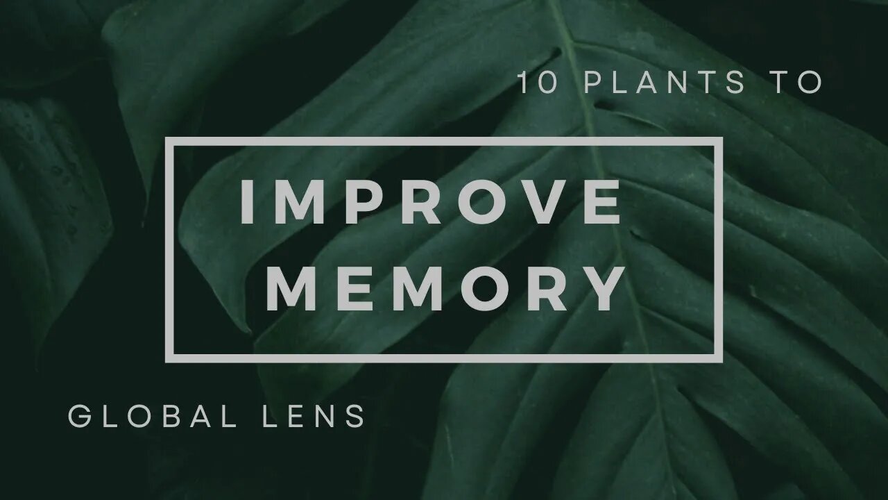 10 PLANTS THAT WILL TURN YOU INTO A MEMORY GENIUS - UNLOCK YOUR BRAIN'S ...