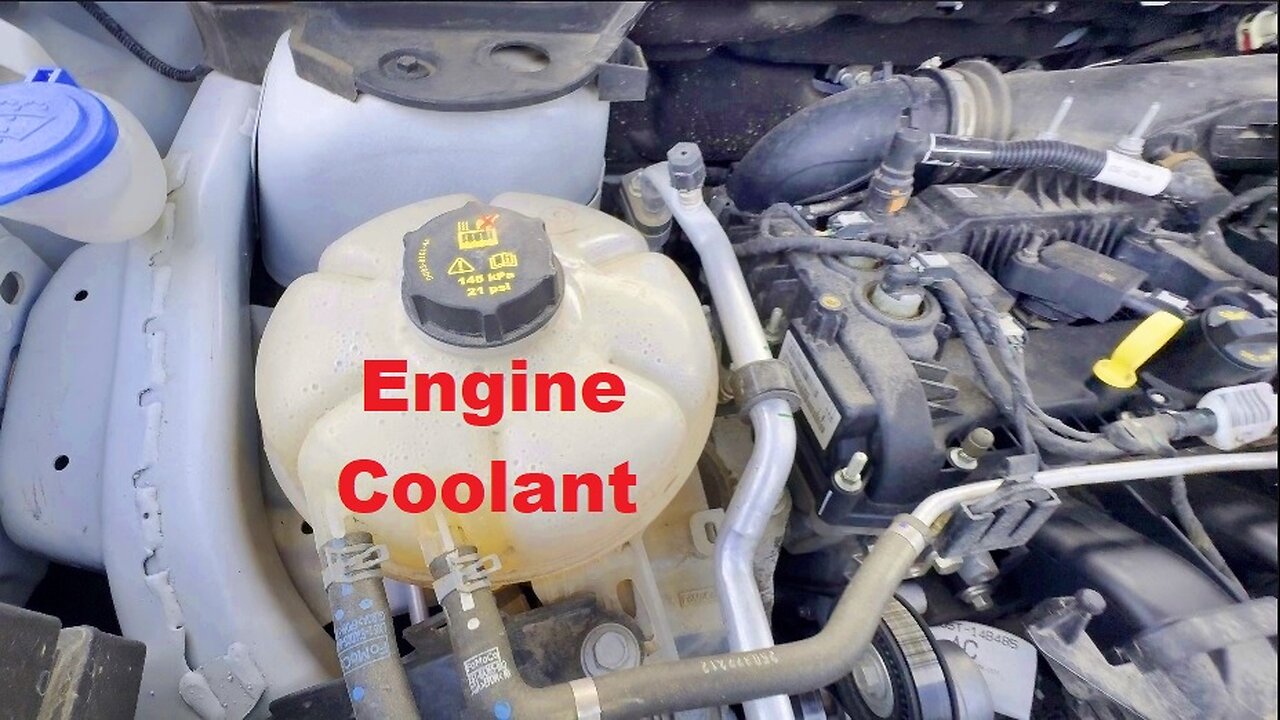 How to Check and Add Engine Coolant in FORD ESCAPE 2020 2021 2022 2023 ...