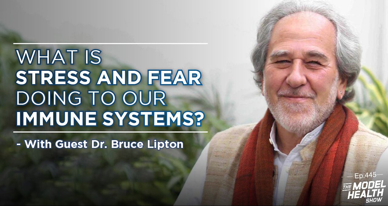 Bruce Lipton: Fear cause stress: Stress hormones shut down the immune ...