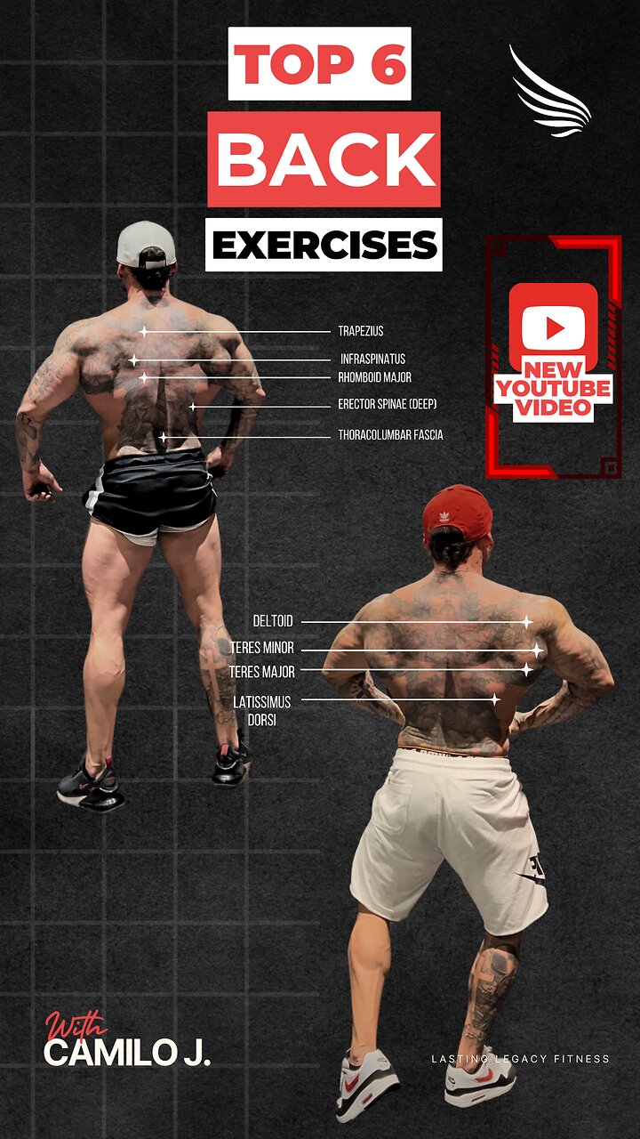6 Best Effective Exercises to Build a Perfect Back🔥