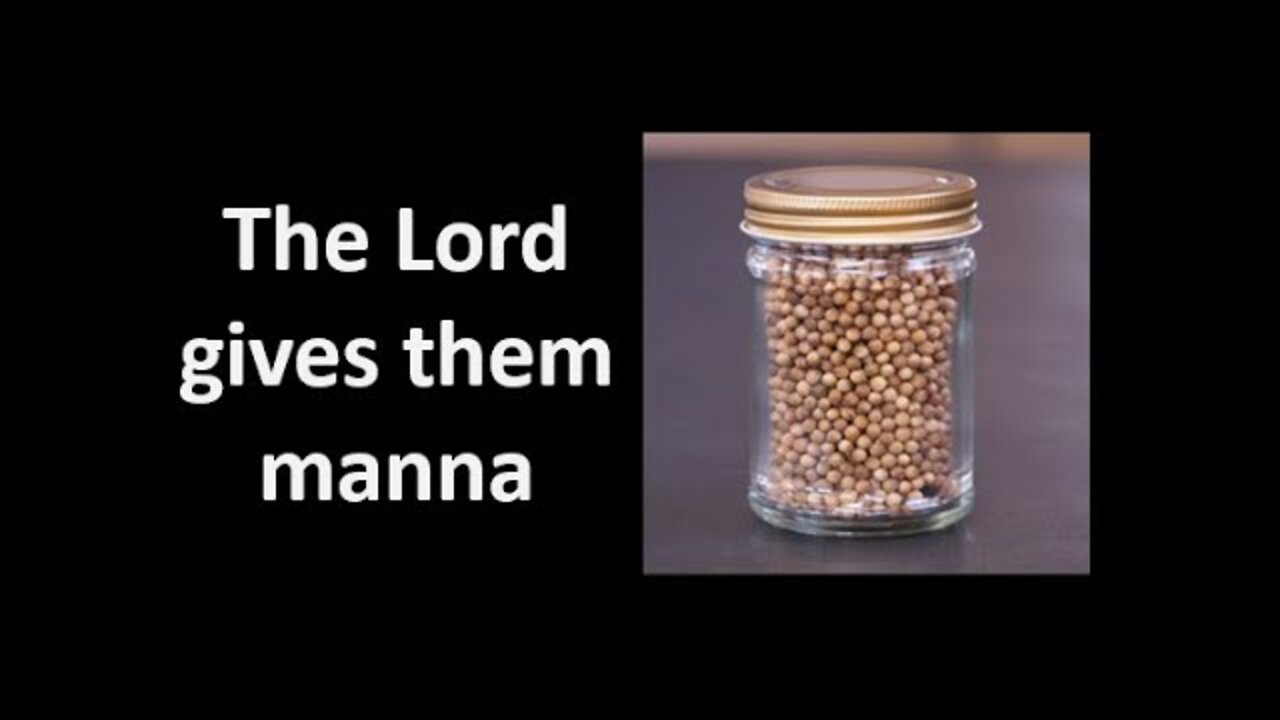 Bible study Exodus Chapter 16 Explained