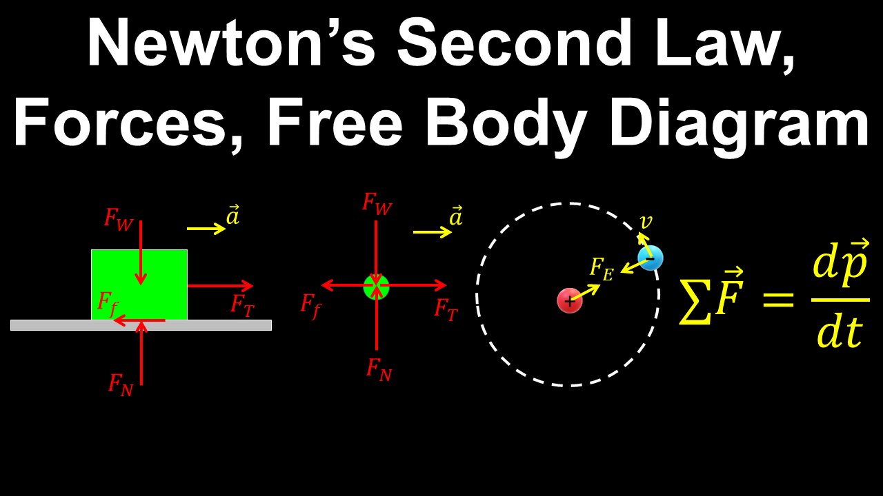 Newton's Second Law of Motion, Forces, Free Body Diagrams - AP Physics ...
