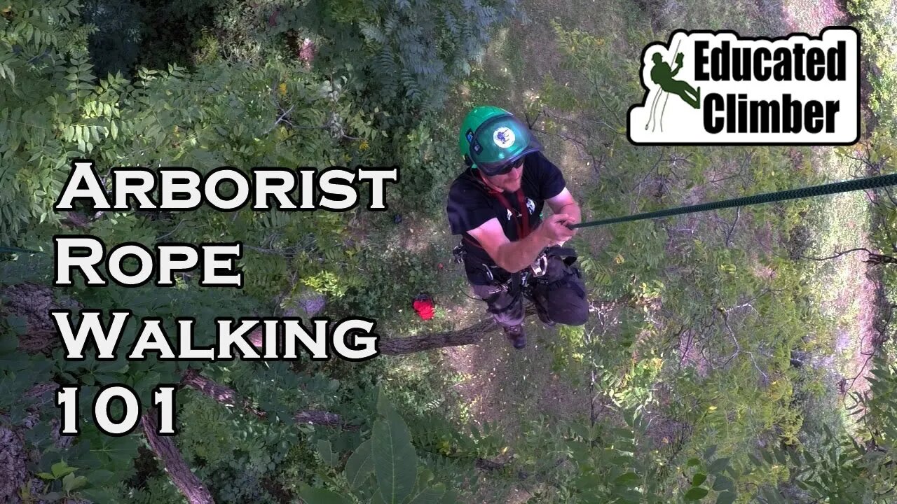 Rope Walking 101 | Tree Ascent for Arborists | Climbing Basics