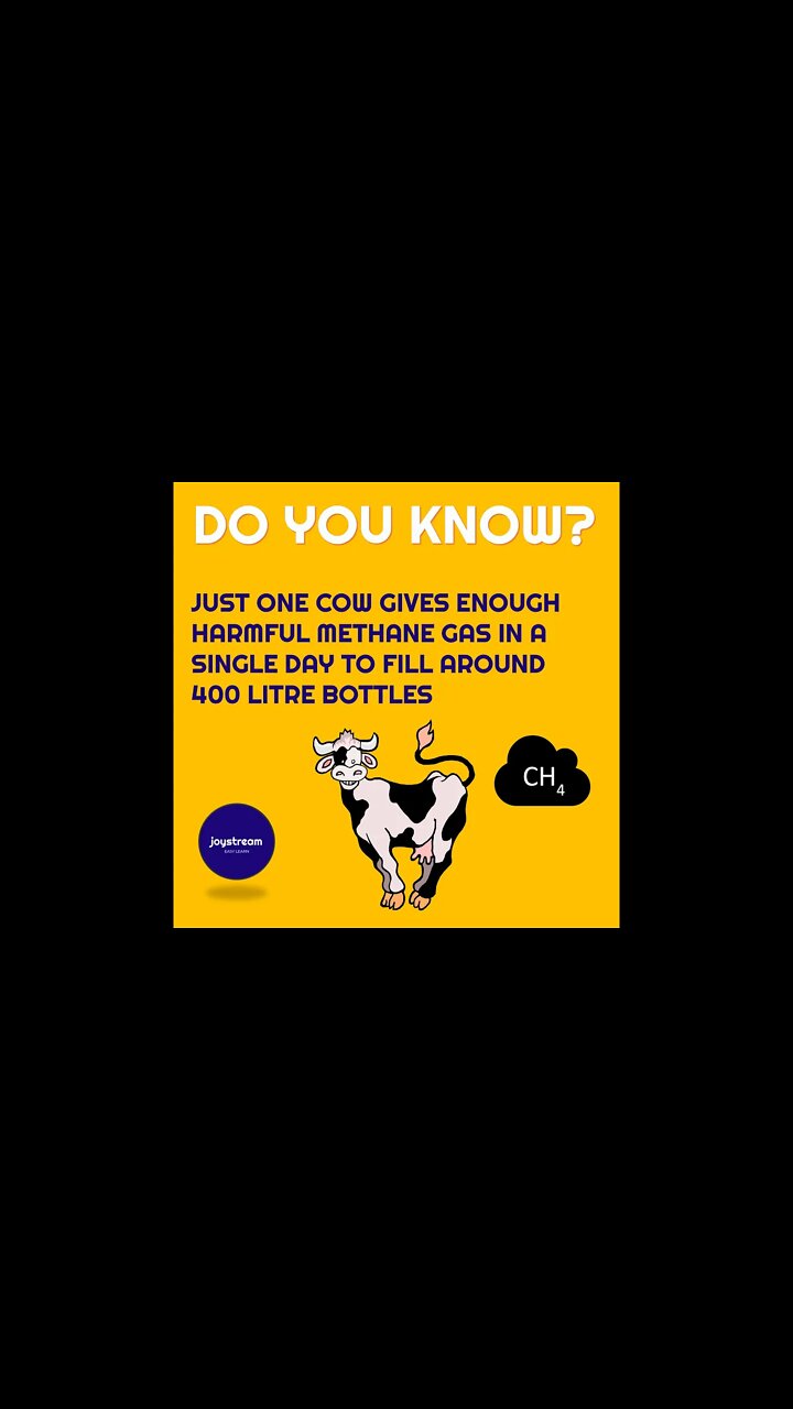 #47 Joyful Facts about birds and animals | Do you know? | Joy Stream