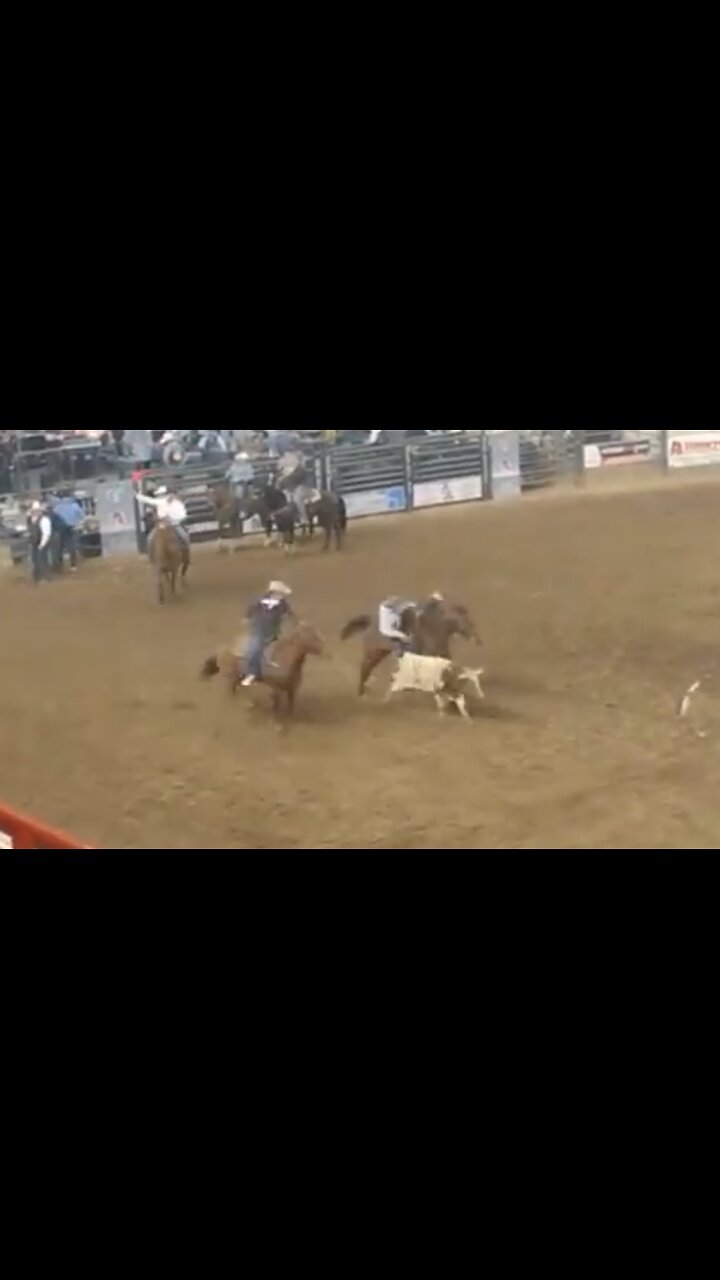 Rodeo