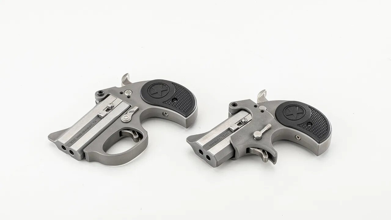 Bond Arms Stinger and Rawhide in .22 LR #1377