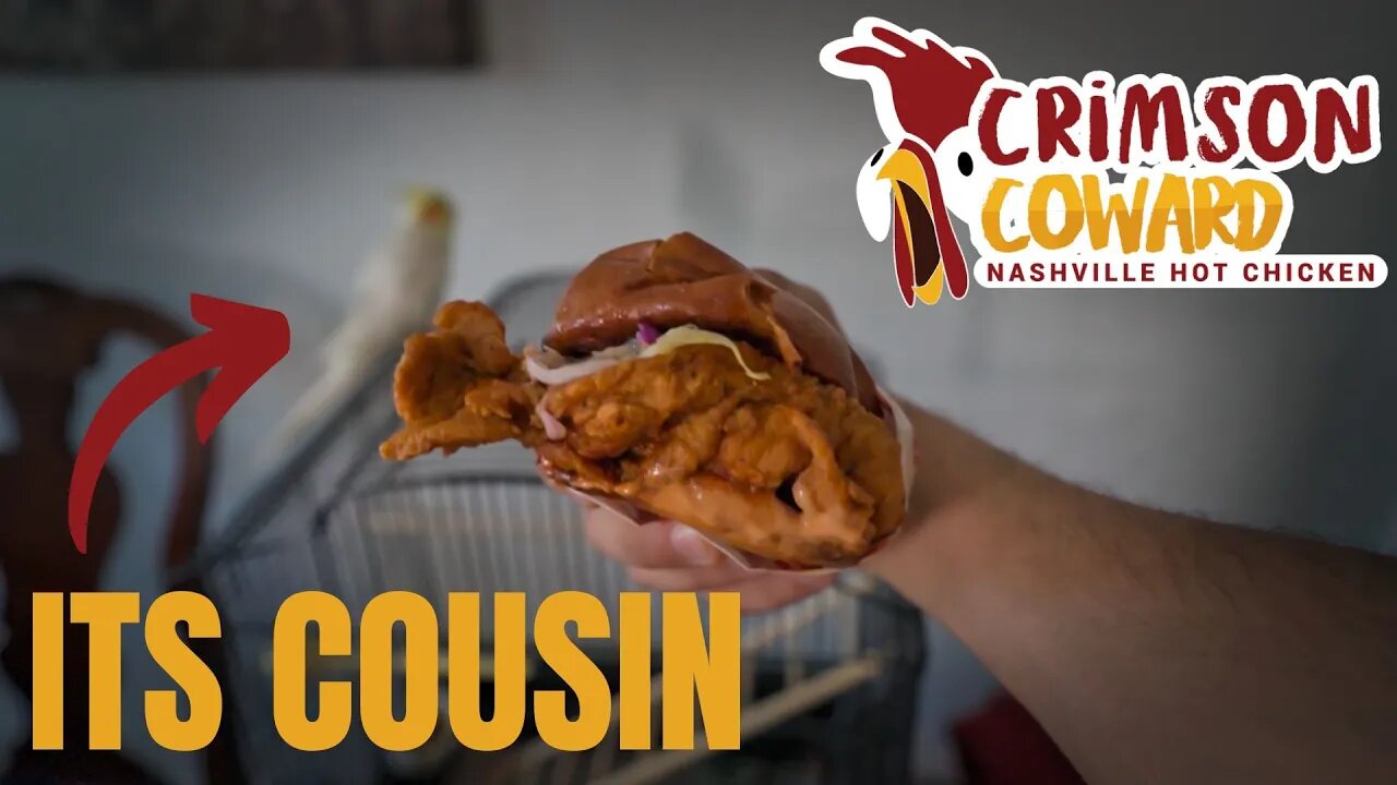 Eating Crimson Coward Hot Chicken in Front of a BIRD