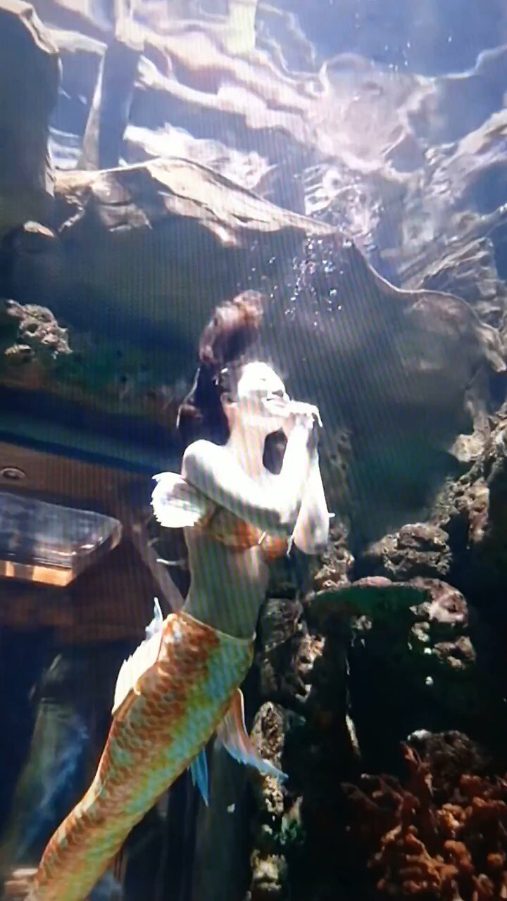 Beautiful Mermaids Working In Seaworld For An Courageous Income?