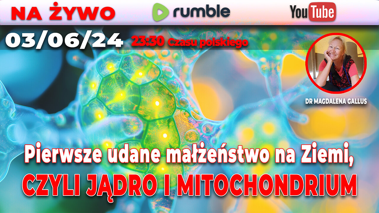 Live 03/06/24| Dr Magdalena Gallus | Pierwsze udane małżeństwo na Ziemi ...