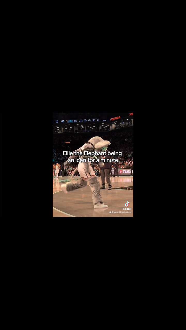 Ellie the Elephant being an icon for a minute