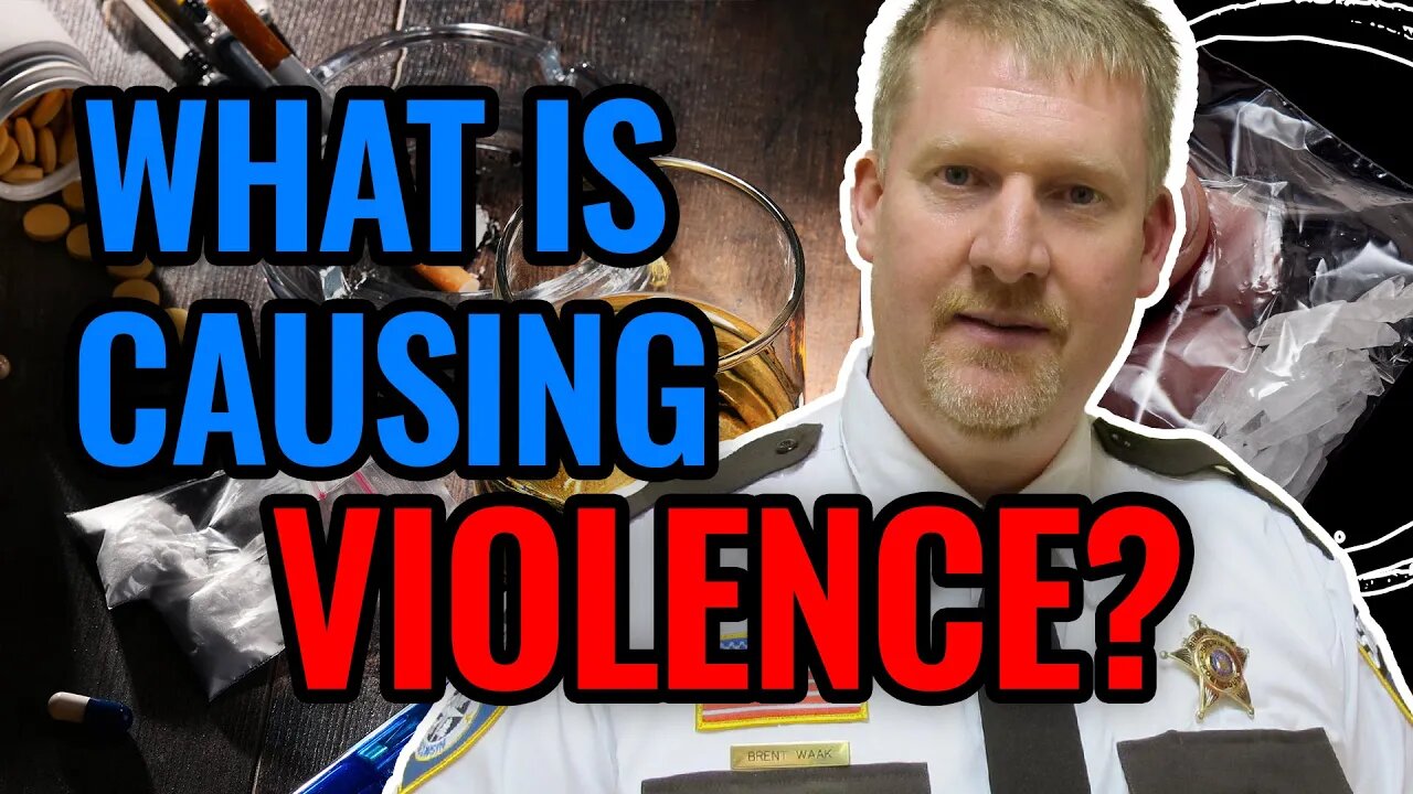 WHAT is Causing Violent Acts? Forces that Cops See Causing Violence ...