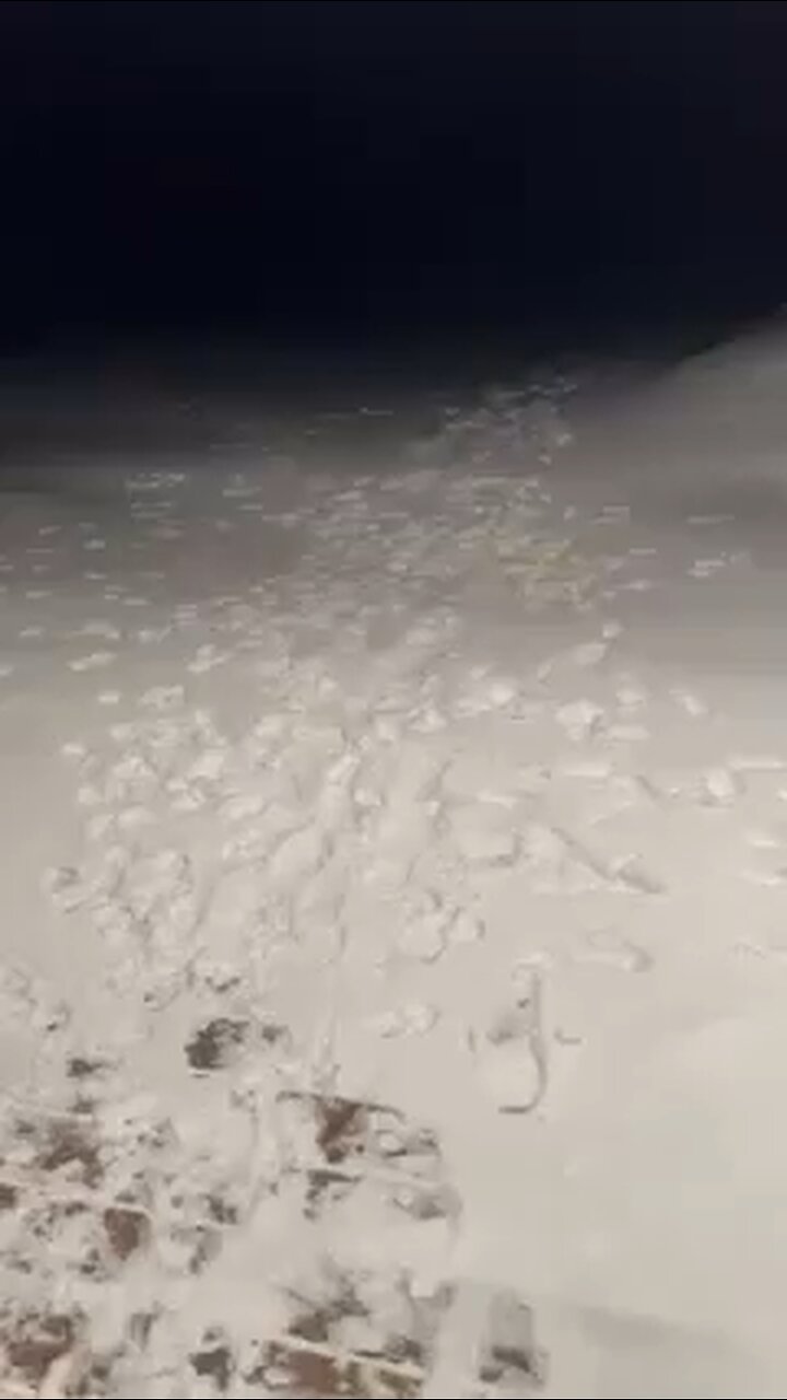Bigfoot howl in Minnesota.