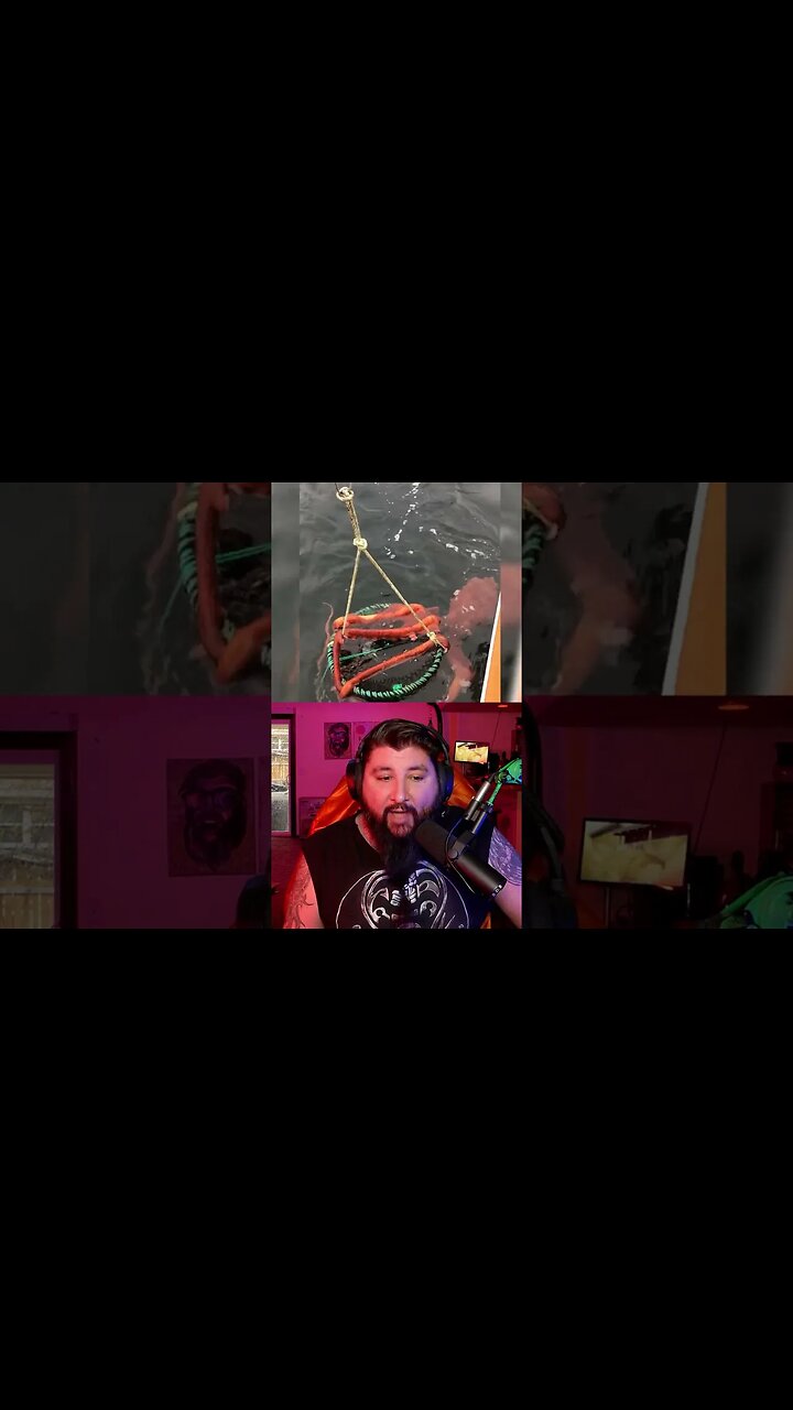 Giant Octopus Won't Let Go of Fisherman's Catch