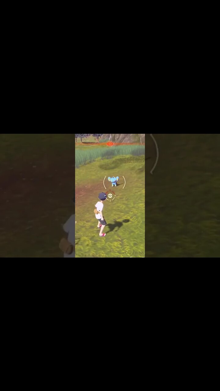 You Can’t Catch Me Shinx! Pokémon Legends: Arceus